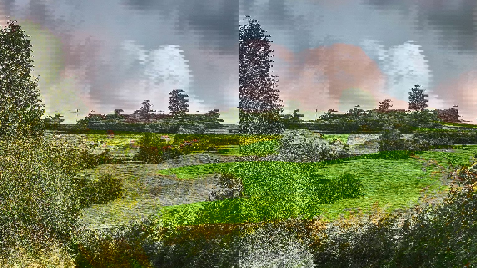 Mapping England's hedgerow landscape