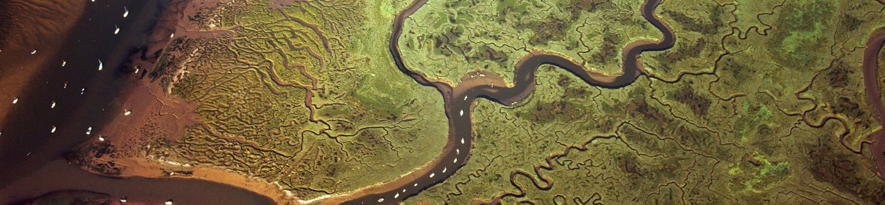 Resources for virtual fieldwork | RGS