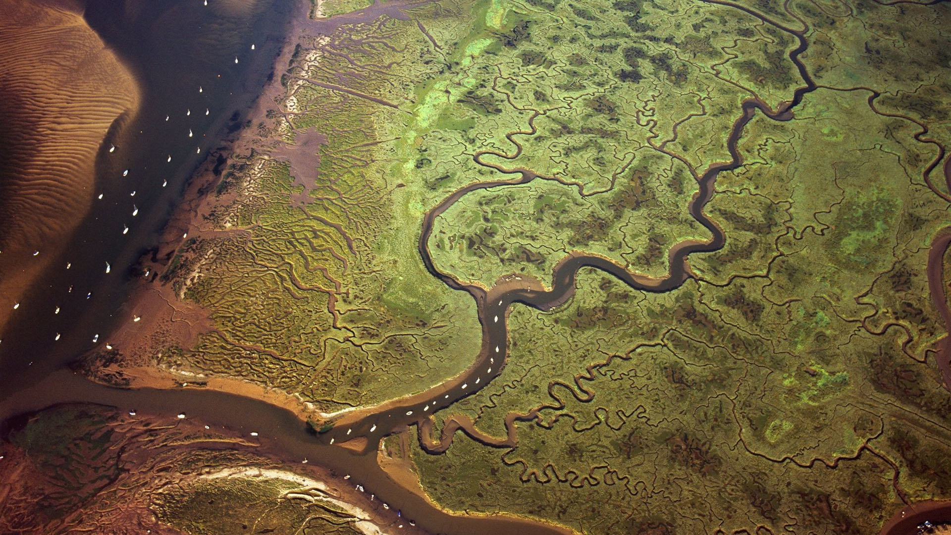 Resources for virtual fieldwork | RGS