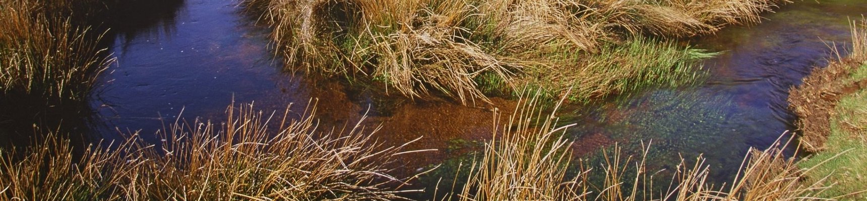 From pixels to peat: the England Peat Map