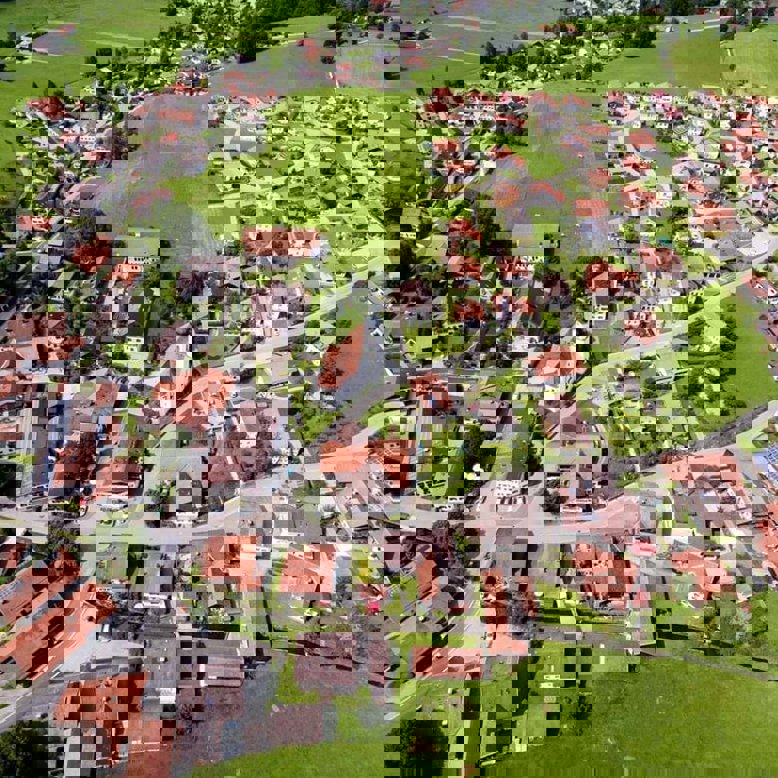 Clone town survey | RGS