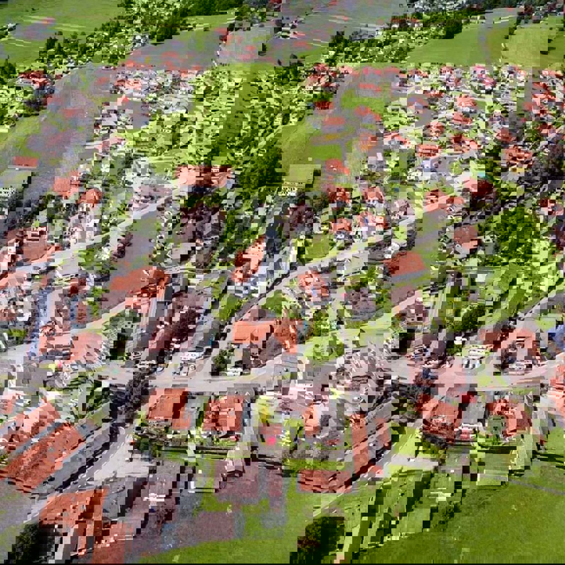 Clone town survey | RGS