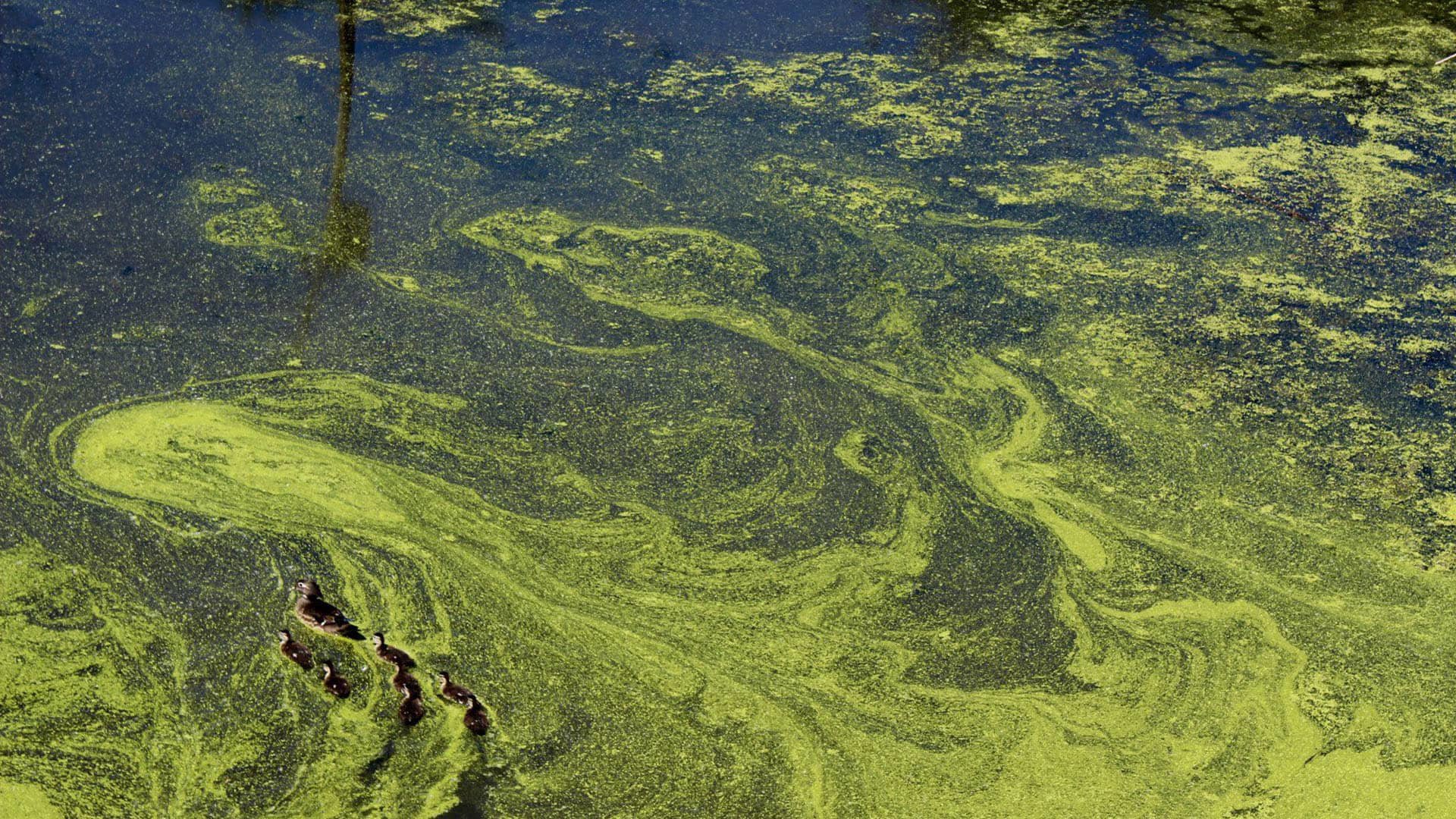 Global satellite observatory for inland water quality management