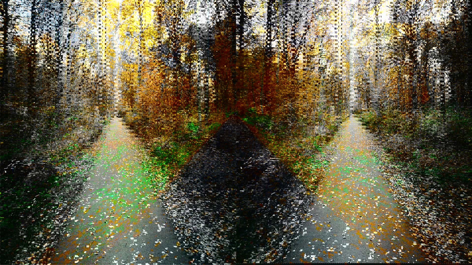 Fieldwork principles: list of departments - RGS