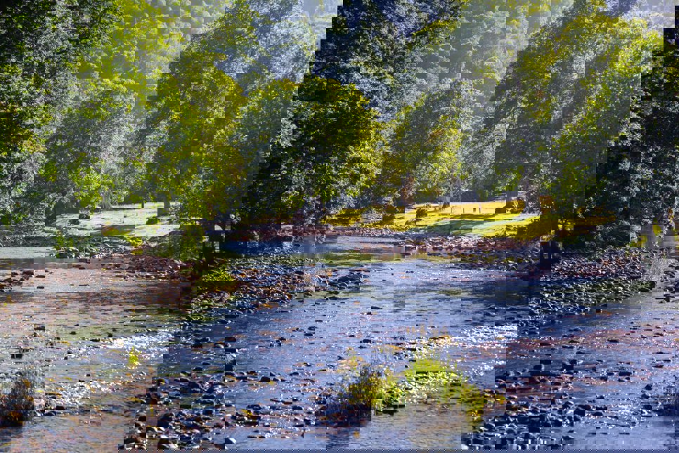 Rivers fieldwork techniques - RGS