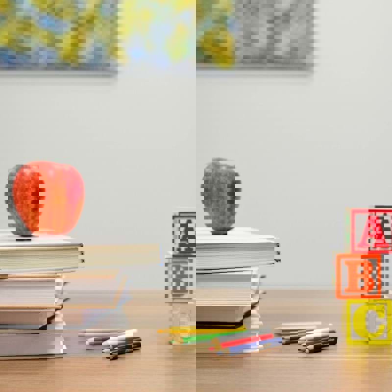 Examples of Schemes of Work - KS2 and KS3 | RGS