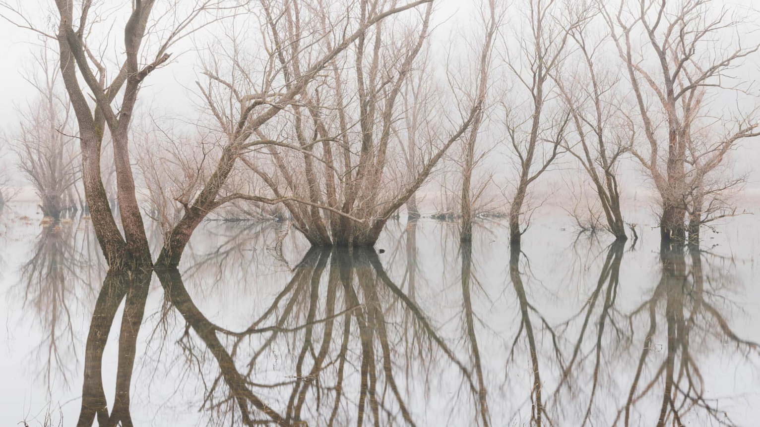 Submit your images now for Earth Photo 2026 | RGS