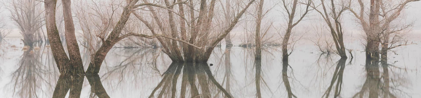 Submit your images now for Earth Photo 2026 | RGS