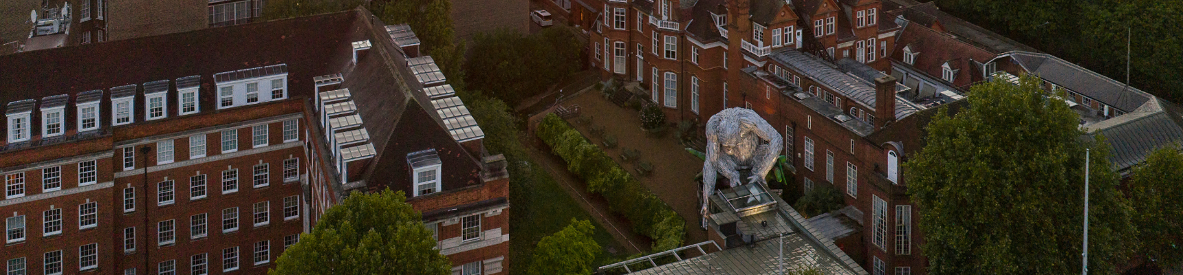 Giant great ape installed on Society’s Terrace
