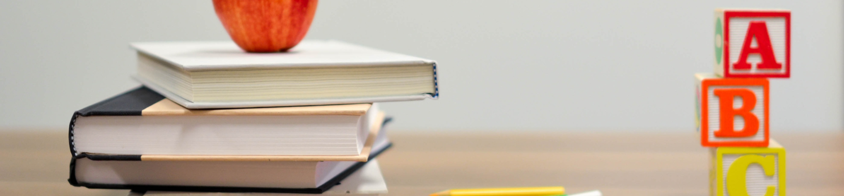 Rose Review: Independent review of the primary curriculum | RGS