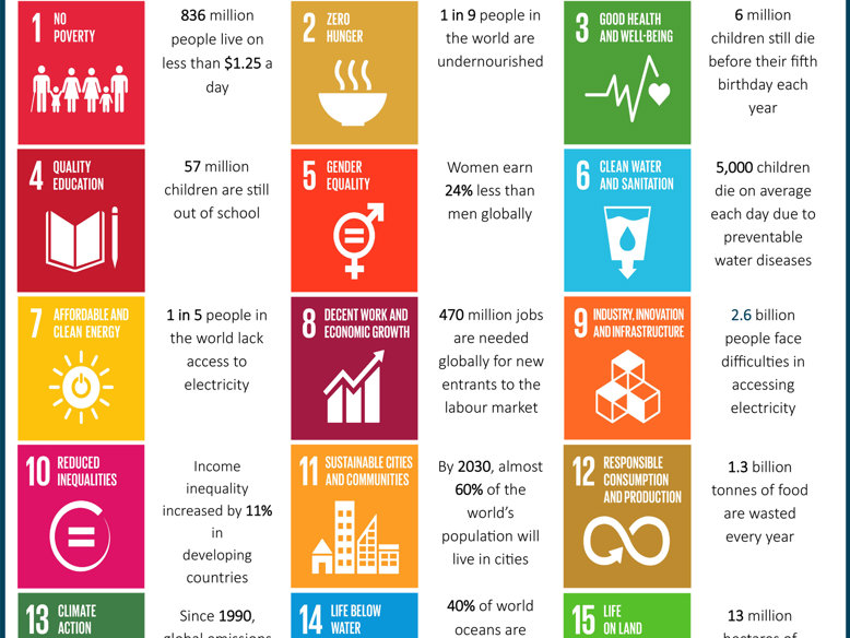 The Sustainable Development Goals infographic | RGS